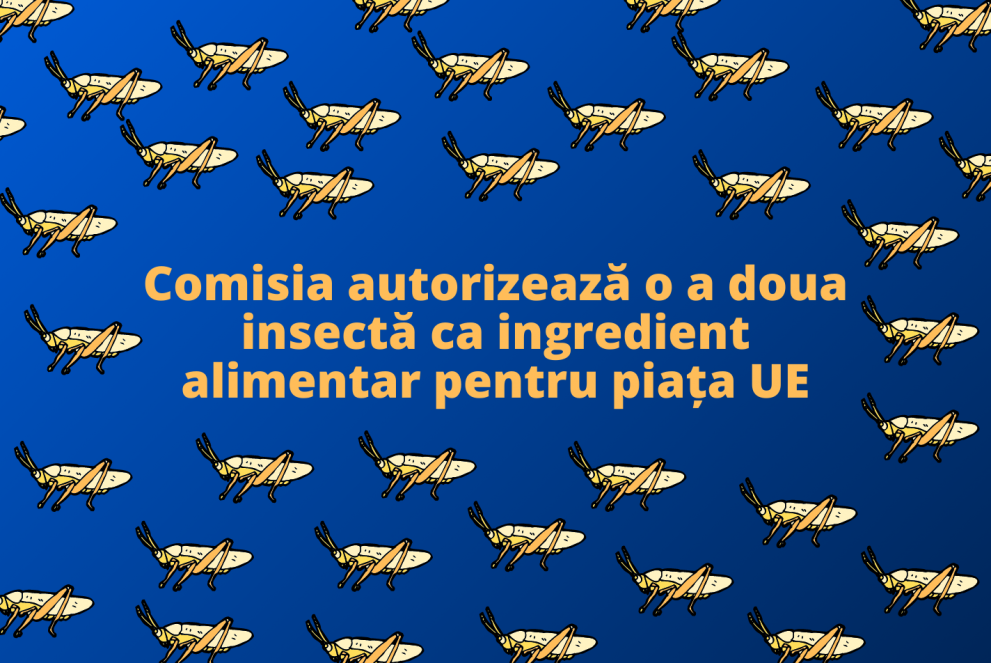 Comisia Europeana a autorizat consumul de lacuste calatoare – Arena IT